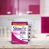 Slow Fe Slow Release Iron Supplement Tablets - 60ct : Target