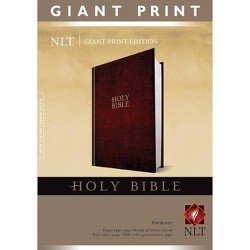 Kjv, Amplified, Parallel Bible, Large Print, Hardcover, Red Letter ...