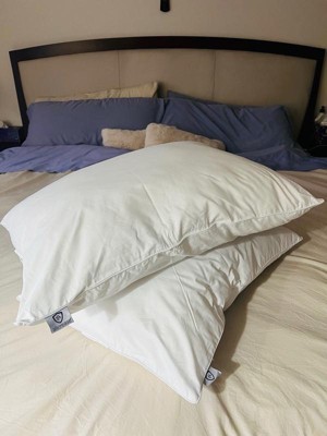 Standard Medium 2pk Machine Washable Total Allergy Defense Pillow White - Allerease : Target