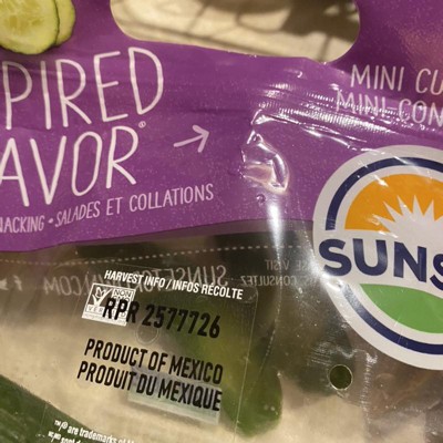 Mini Cucumbers - 16oz Bag - Good & Gather™ (packaging May Vary) : Target