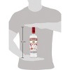 Smirnoff Raspberry Flavored Vodka - 750ml Bottle : Target