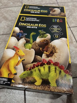 National Geographic Dinosaur Egg Dig Kits - 12 Dino Egg-shaped Dig ...