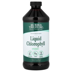 Buried Treasure Liquid Chlorophyll 100 mg Dietary Supplement, Energy ...