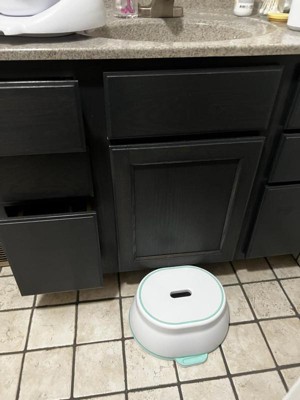 Frida Baby Grow-with-me Potty For Potty Training - Transforms From ...