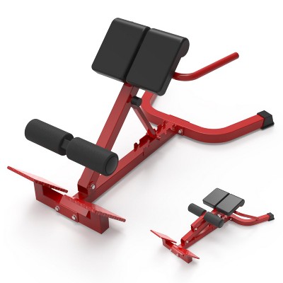 Adjustable Roman Chair – Foldable Multi Angle Back Extension Bench for ...