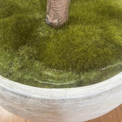 72" Artificial Ficus Tree - Threshold™ Designed With Studio Mcgee : Target