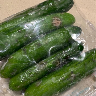 Mini Cucumbers - 16oz Bag - Good & Gather™ (packaging May Vary) : Target