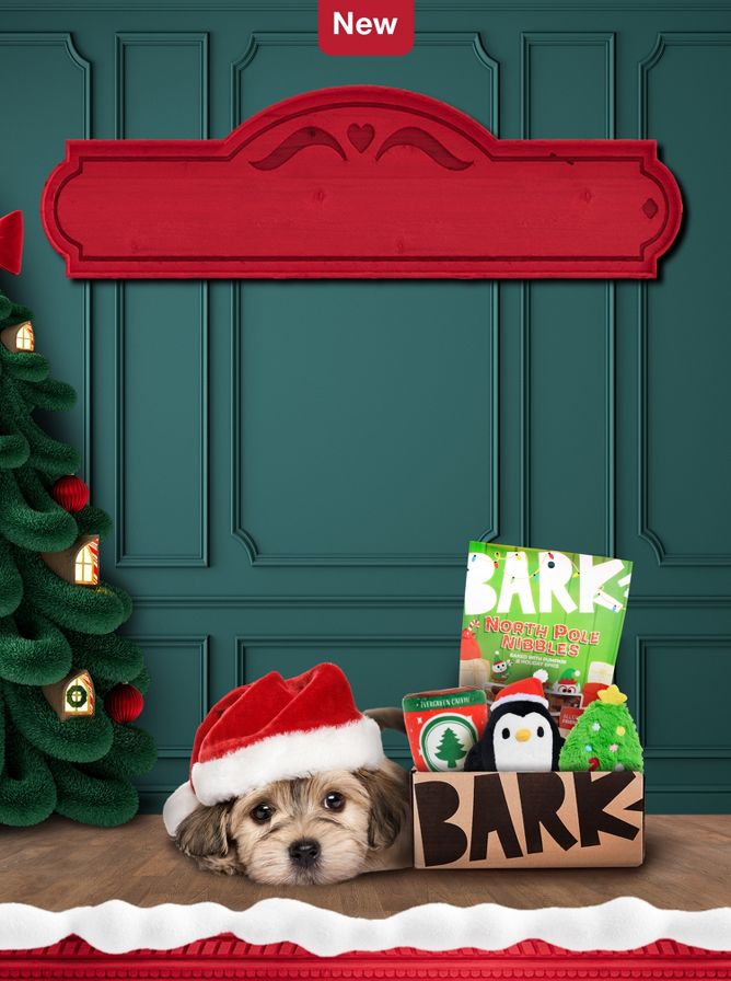 BARK : Target