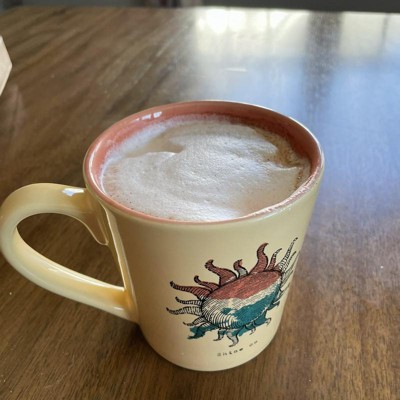 Capresso Automatic Milk Frother Froth Pro - Black/silver 202.04 ...