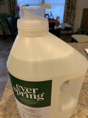 Free & Clear Liquid Laundry Detergent - 100 Fl Oz - Everspring™ : Target