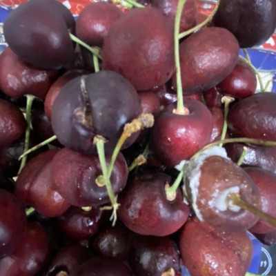 Sweet Red Cherries - 1lb : Target