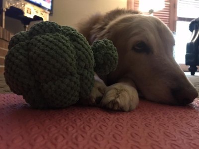 Bark Punk Brocc Broccoli Dog Toy : Target