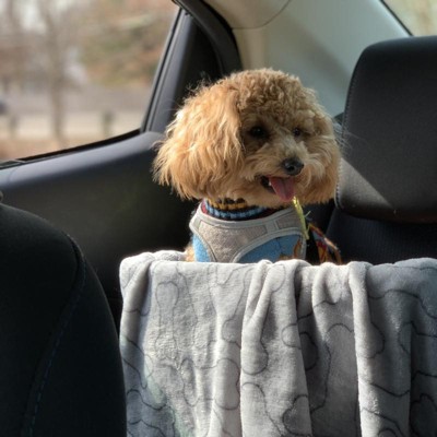 Freshpet Select Grain Free Small Dog Multi-protein With Seafood And ...