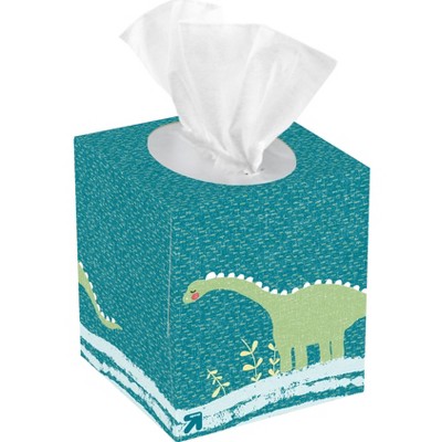 Kids Facial Tissue - Design May Vary - 70ct - Up & Up™ : Target