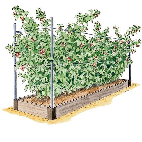 Raised Garden Bed, Raspberry Bed Kit : Target