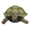 Design Toscano Gilbert, The Box Turtle Statues: Set Of Two : Target