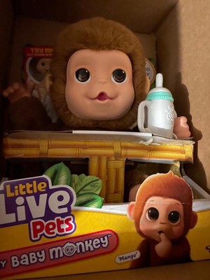 Little Live Pets My Baby Monkey - Mango : Target