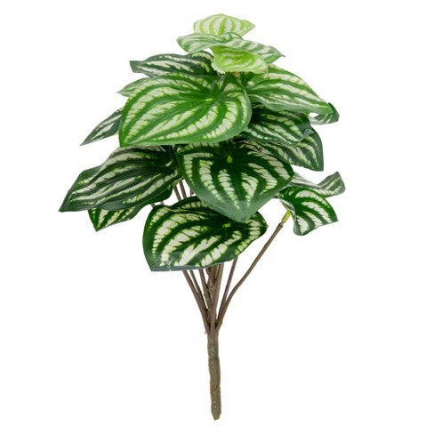 Allstate Floral 12" Small Peperomia Watermelon Leaves Artificial Plant ...