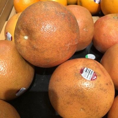 Red Grapefruit - Each : Target