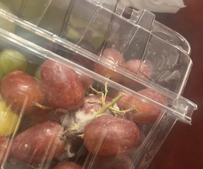 Extra Large Bi-color Seedless Grapes - 2lb : Target