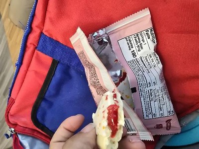 Legendary Foods Gluten Free And Keto Friendly Protein Pastry ...