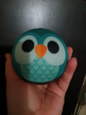 Amazon Kids Echo Dot (5th Gen 2022) - Owl : Target