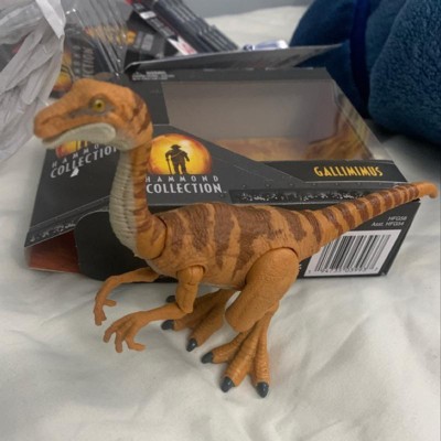 #TargetStyle : Gallimimus : Target Finds