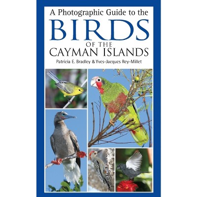 A Photographic Guide To North American Raptors - By Brian K Wheeler ...