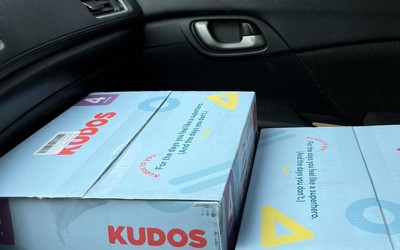 Kudos Chlorine Free Cotton-lined Disposable Diapers - Size 6 - 36ct ...