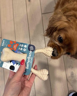 Betterbone Soft Beef Nylon Free Dog Bone Chew Toy - S : Target