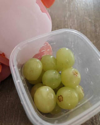 Quark Storii Baby Food Storage Containers With Integrated Ice Packs ...