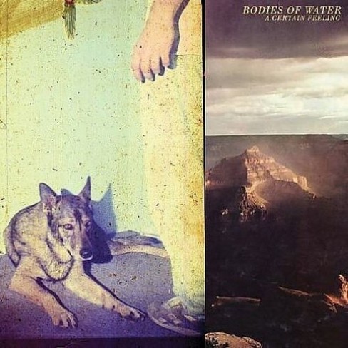 Bodies Of Water - A Certain Feeling (cd) : Target