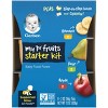 Gerber My 1st Fruits Starter Kit Banana Pear Apple Baby Food Tubs - 6ct ...