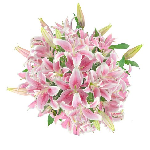 Fresh Cut Pink Oriental Lily Flowers - 30 Stems : Target