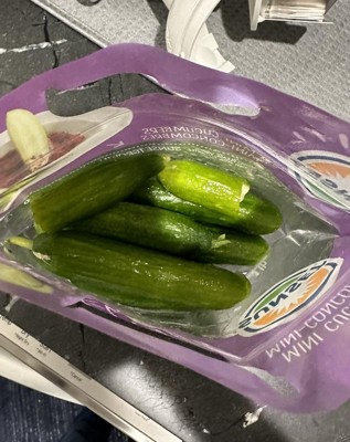 Mini Cucumbers - 16oz Bag - Good & Gather™ (packaging May Vary) : Target
