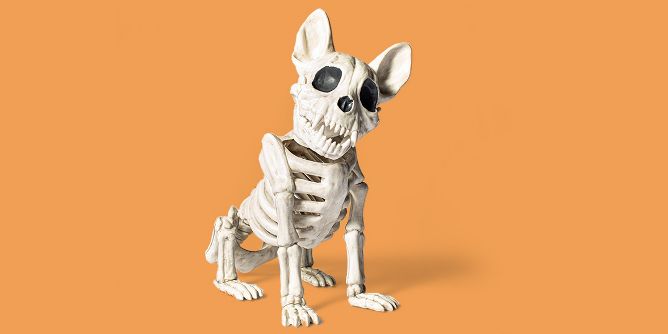 Halloween Decorations, Props | Indoor & Outdoor Halloween Decor 2023 ...