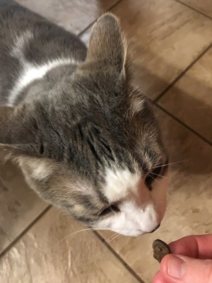Vetriscience Nucat Multivitamin Everyday Health Bite-sized Cat Chews ...