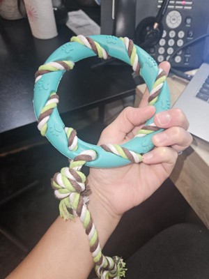 Rocket & Rex Chew Dog Ball Plush Toy Set - 6pk : Target