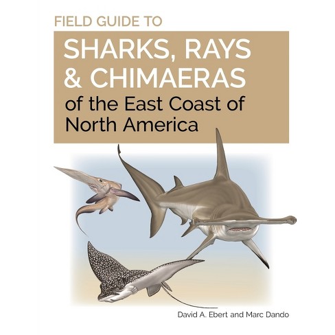 Field Guide To Sharks, Rays And Chimaeras Of The East Coast Of North ...