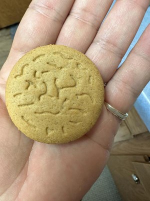 Nabisco Ginger Snaps Cookies - 16oz : Target