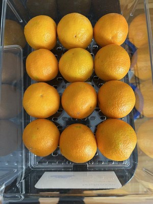 Produce Fridge Bin Clear - Brightroom™ : Target