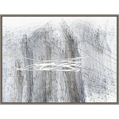 Amanti Art 42"x32" String Play By Petra Trimmel: Rustic Style ...