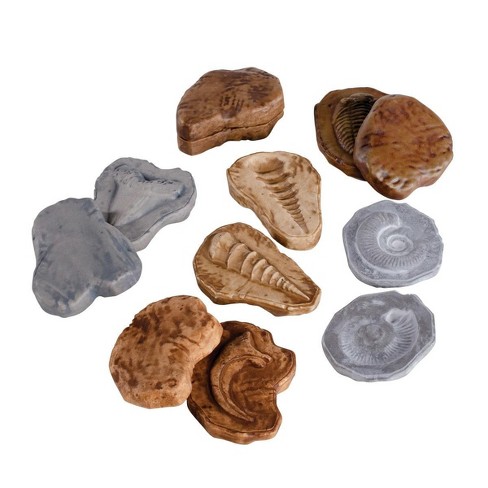 Kaplan Early Learning Magnetic Matching Fossil Stones - Set Of 6 : Target