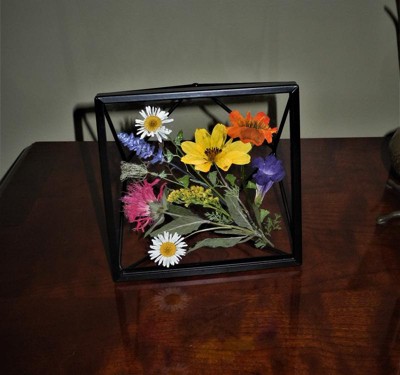 Set Of 3 Prisma Picture Frames Opening Brass - Umbra : Target