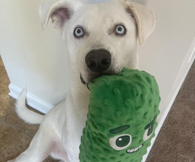 Bark Big Dill Bill Pickle Dog Toy - Green : Target