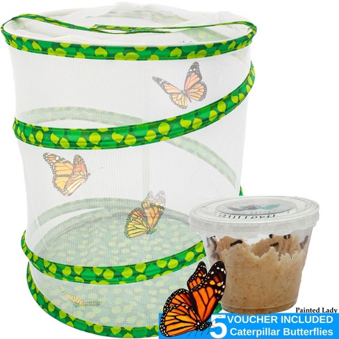 5 Star Super Deals Butterfly Growing Garden Habitat Kit Large Butterfly ...