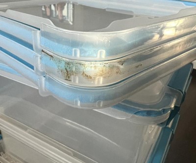 Sterilite 37 Qt Gasket Box, Stackable Storage Bin With Latching Lid And ...