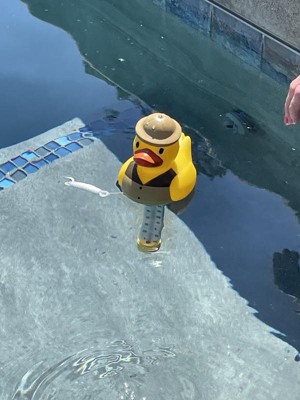 Poolmaster Swimming Pool And Spa Thermometer : Target