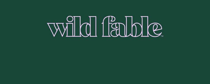 Wild Fable products at Target