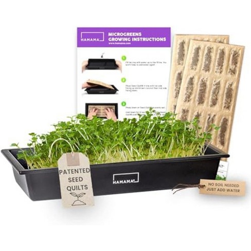Hamama Microgreens Growing Kit - Sprouts Growing Kit, Sprouting Kit ...